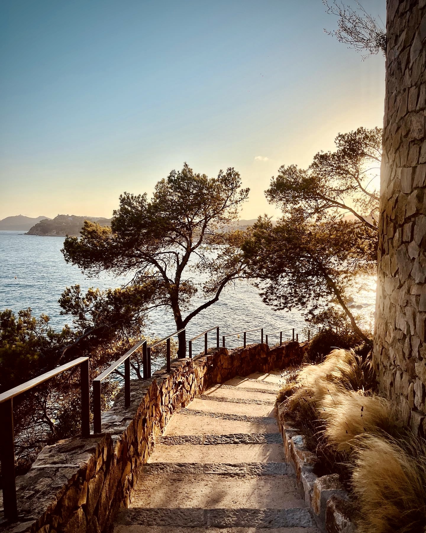 Florida Poker Series | Summer Edition